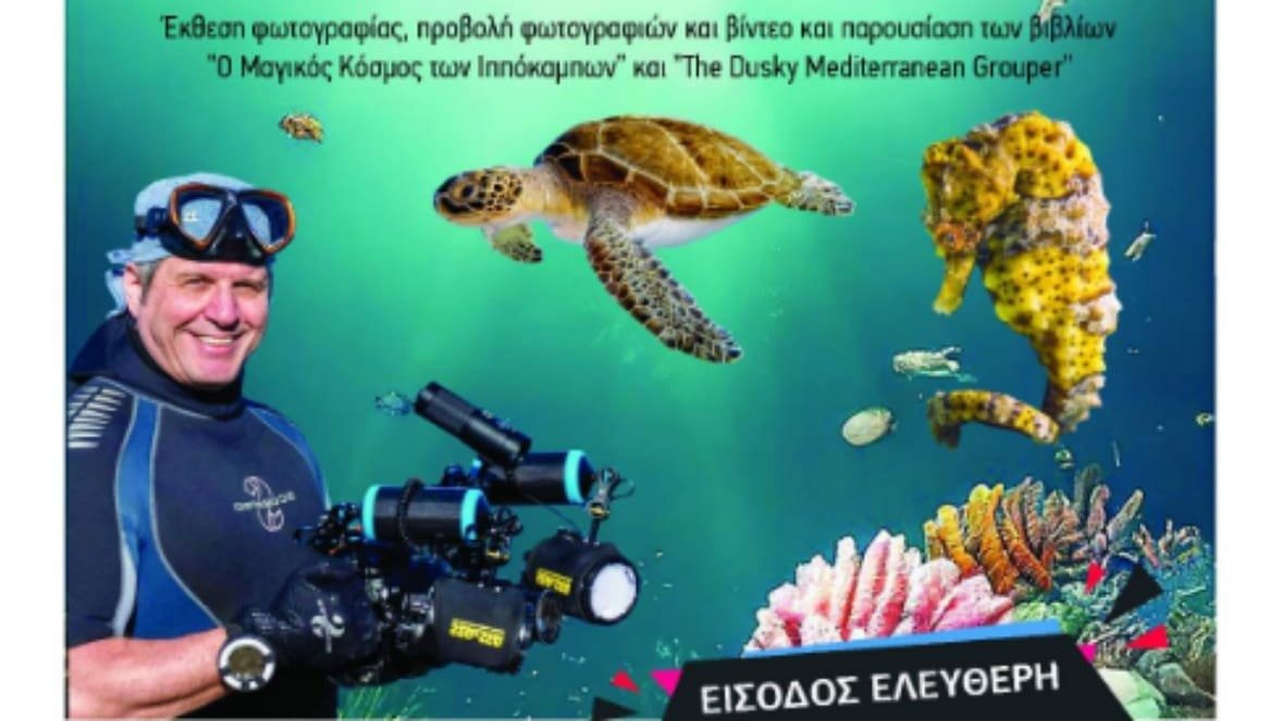 Ο μαγικός κόσμος της θάλασσας - My Journey - Travel blog for Paphos ...